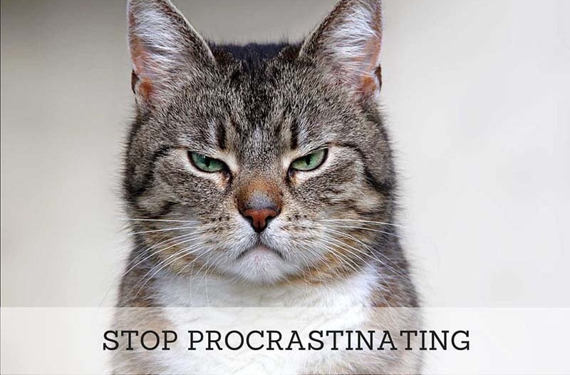 The Fine Art Of Procrastination: How To Nip It In The Bud
